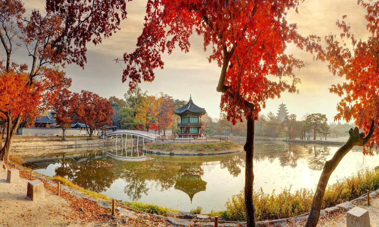 경복궁 건청궁·향원정, 17일간 특별 개방