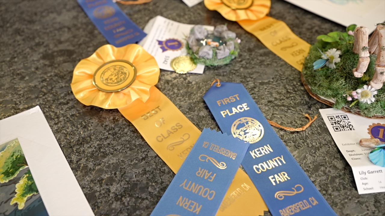 From win to letdown: Teen art damaged at the Kern County Fair