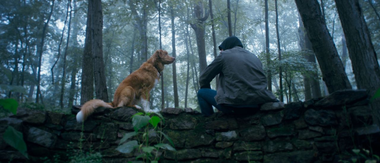 Good Boy Review: A Handmade Horror Film That’s A Tension-Filled, Yet ...