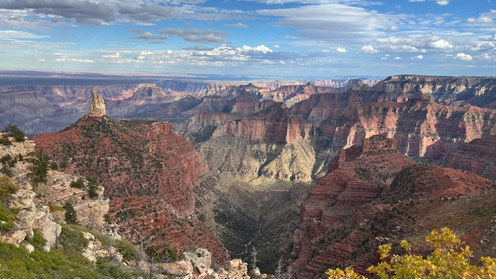 Dragon Bravo Fire in Grand Canyon 100% contained ahead of North Rim ...