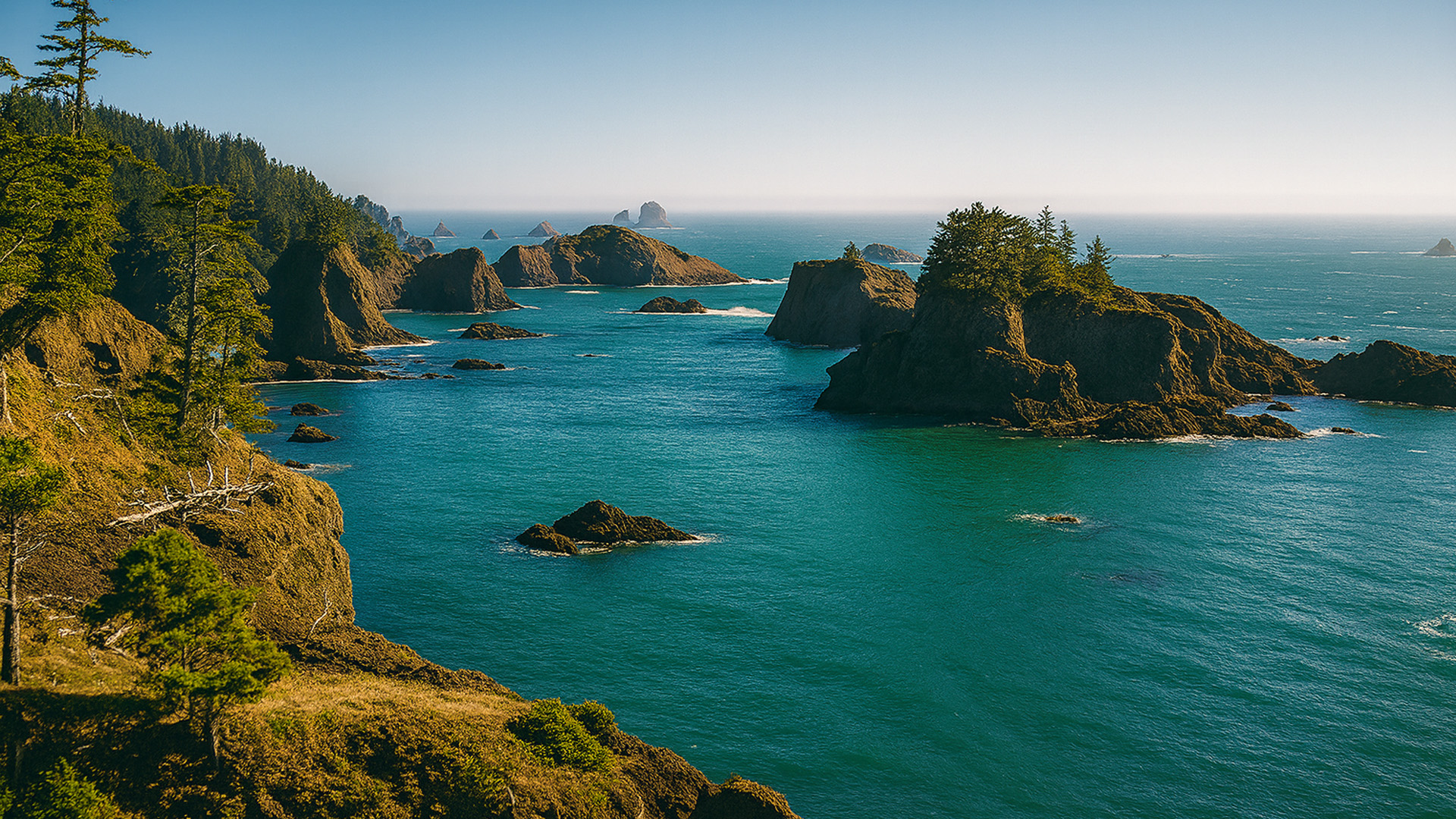 Oregon Coast USA – Rugged Cliffs & Pacific Ocean View in 4K