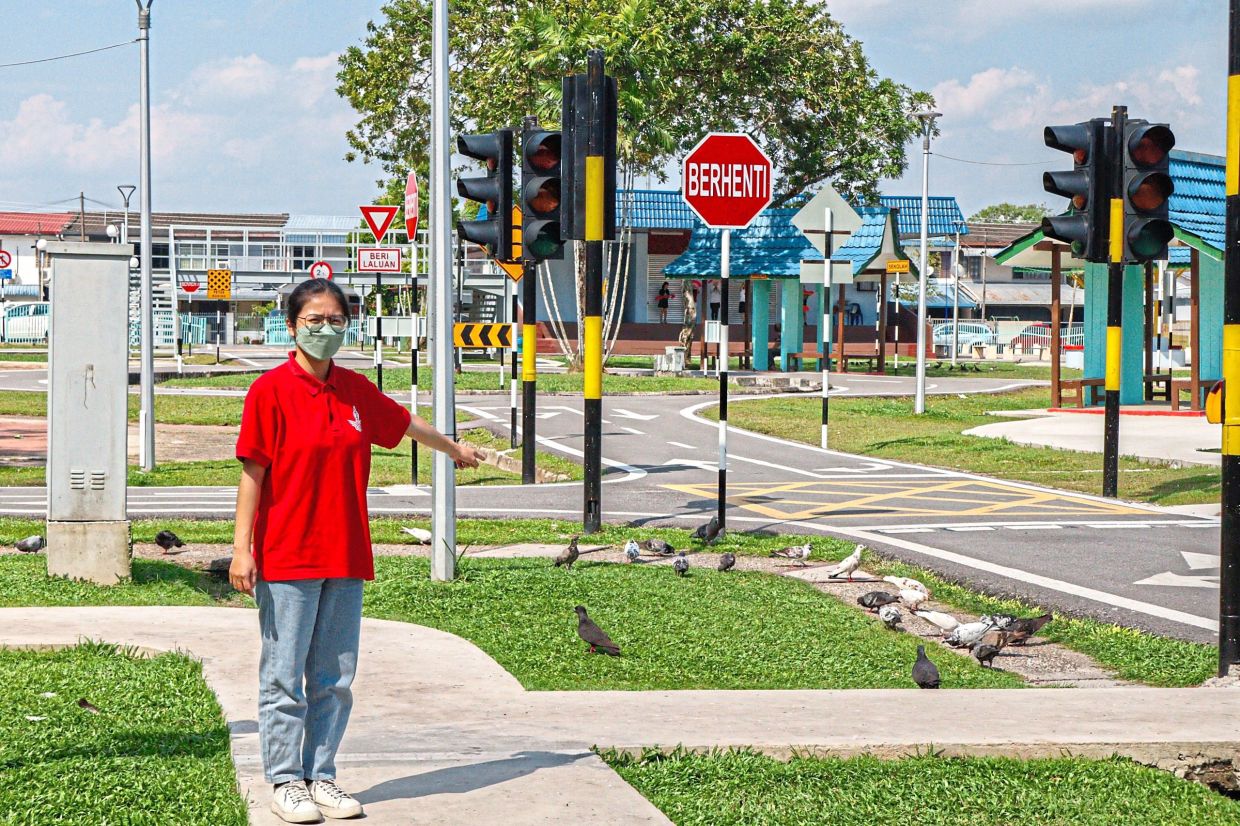Pigeon menace at Sibu park raises public health concerns