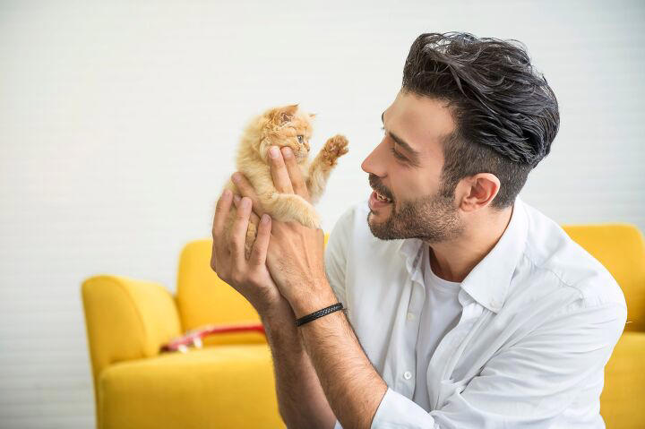 Socializing Kittens: How-Tos and Tips