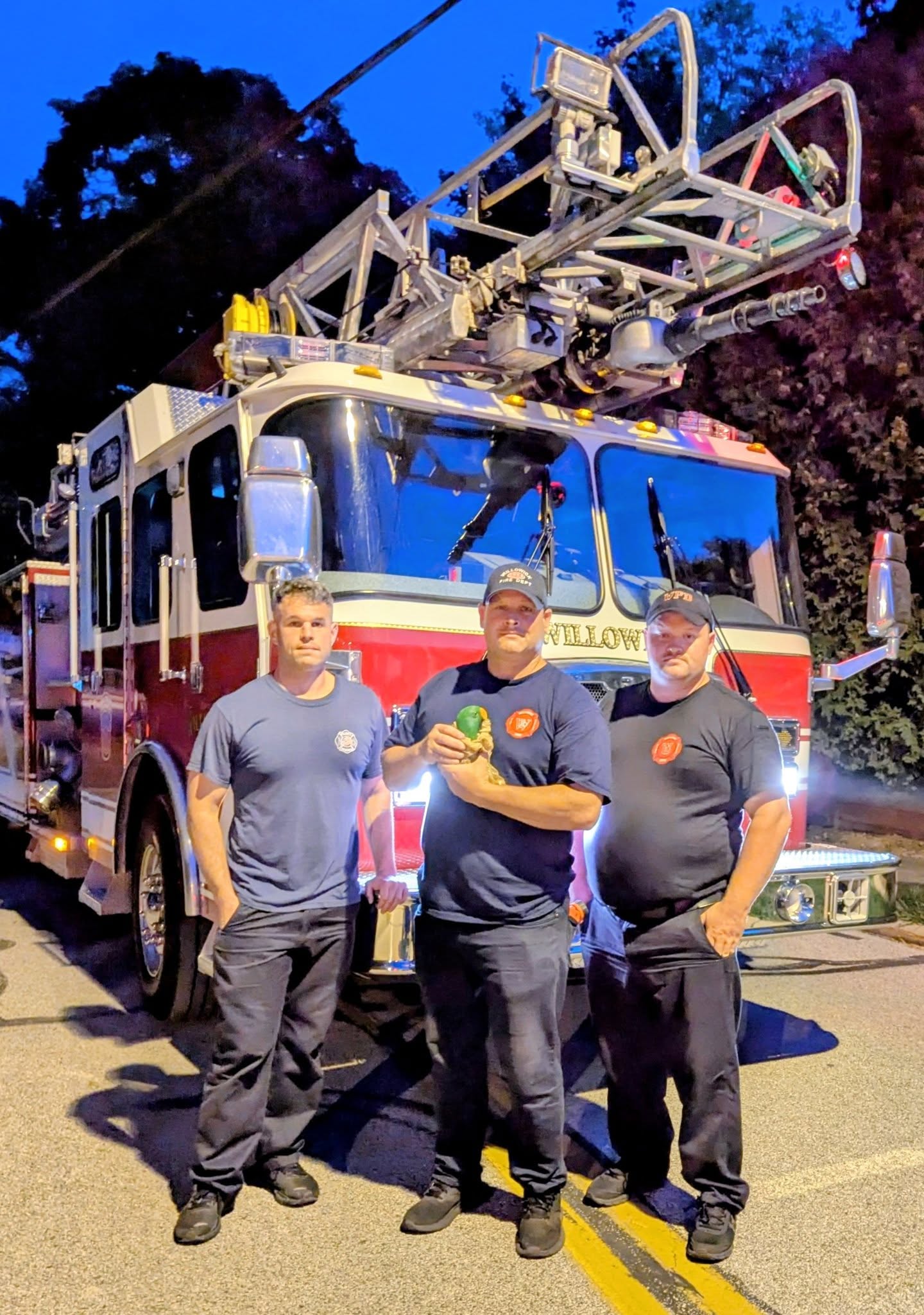 ‘Our heroes!’: Willowick firefighters rescue parrot