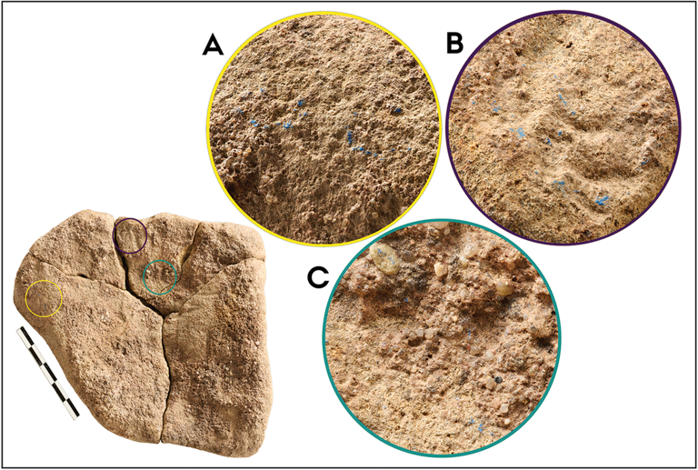 Ancient stone in Germany holds oldest blue pigment in Europe. ‘Ground ...