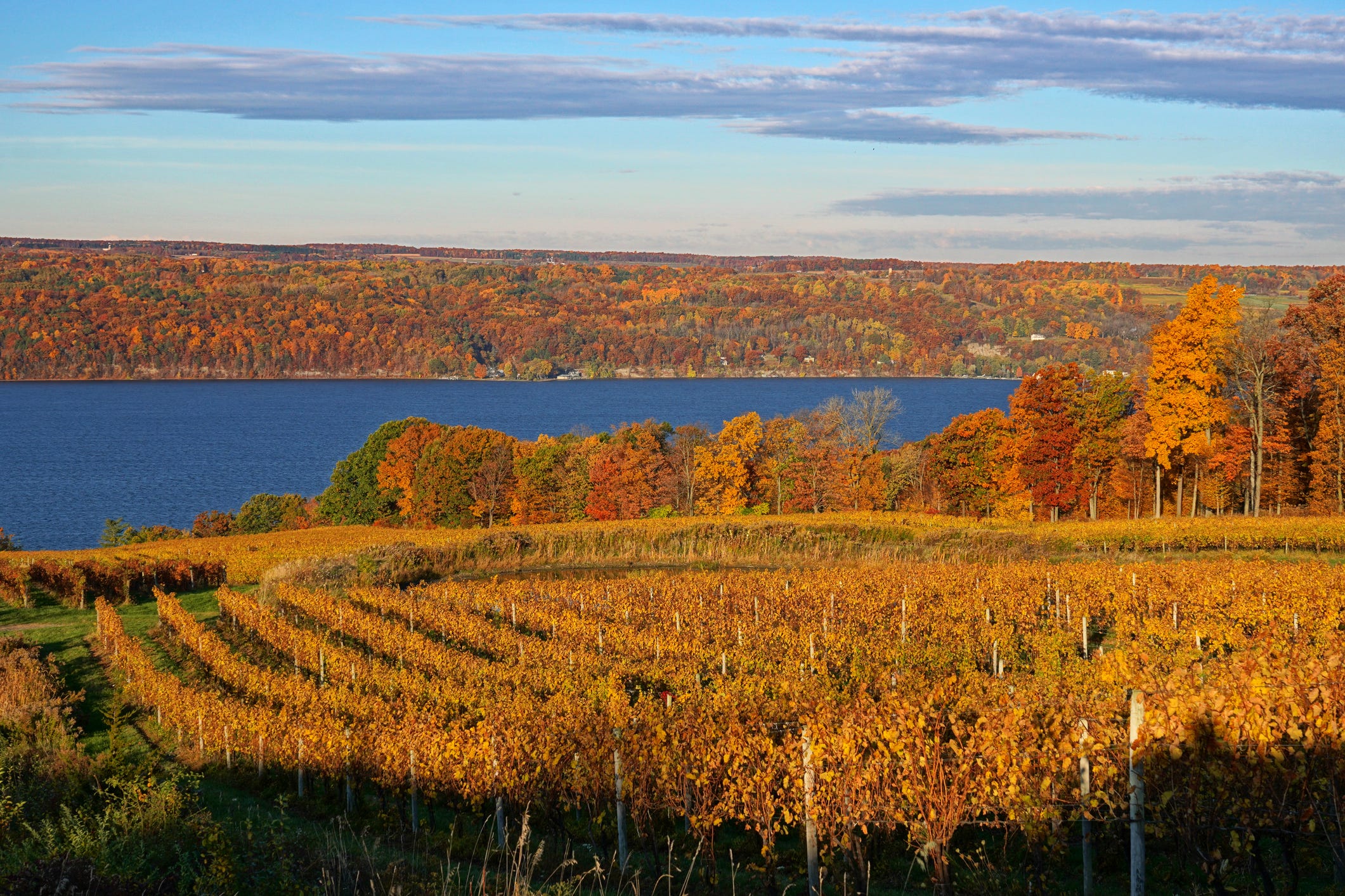 4 stunning fall drives to take through the Finger Lakes: See the list