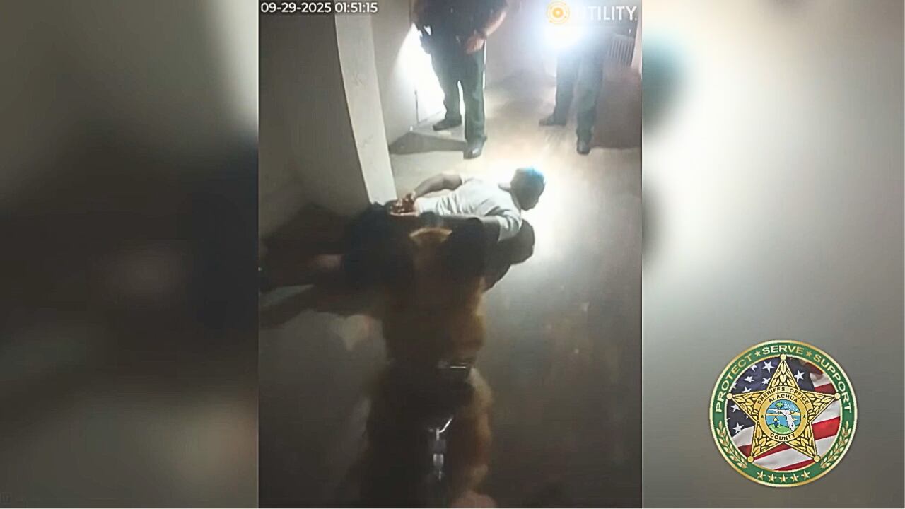 Alachua County K-9 unit tracks down suspect in home invasion