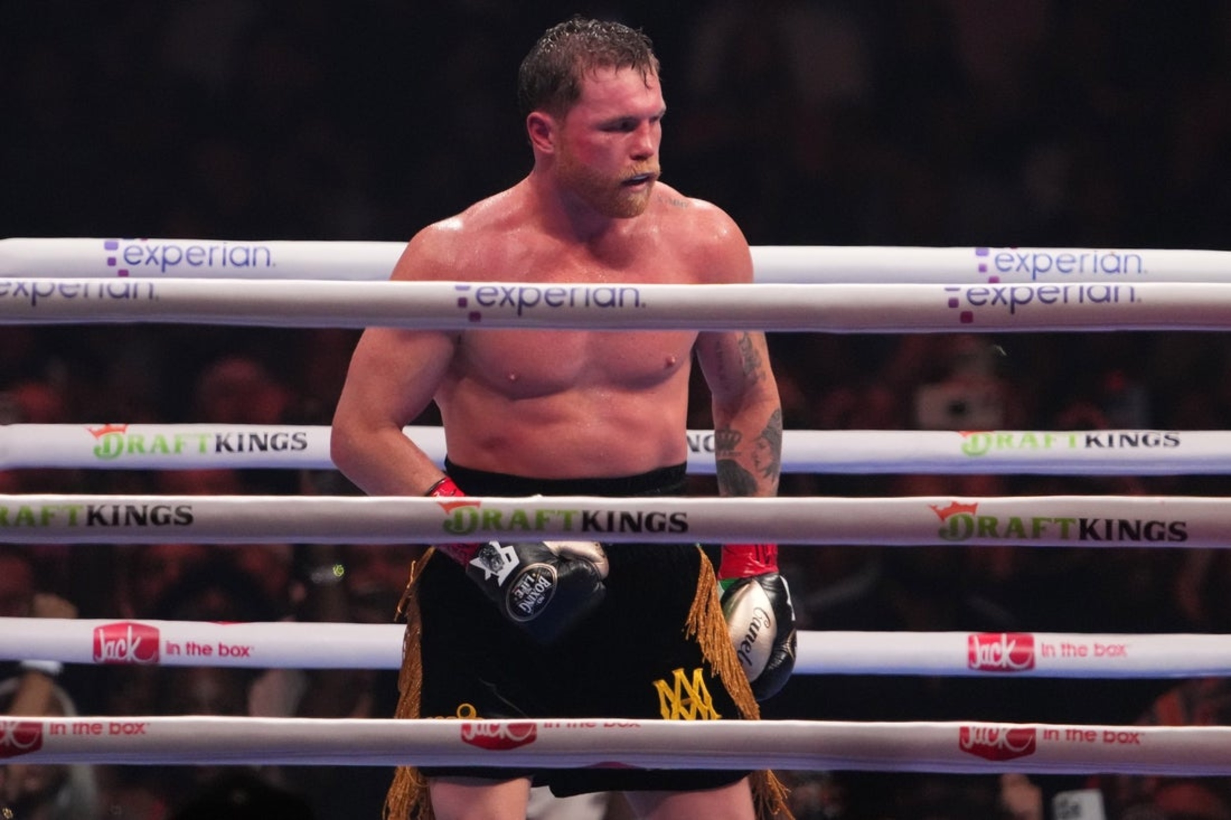Reports: Canelo Alvarez out until at least mid-2026 after elbow surgery