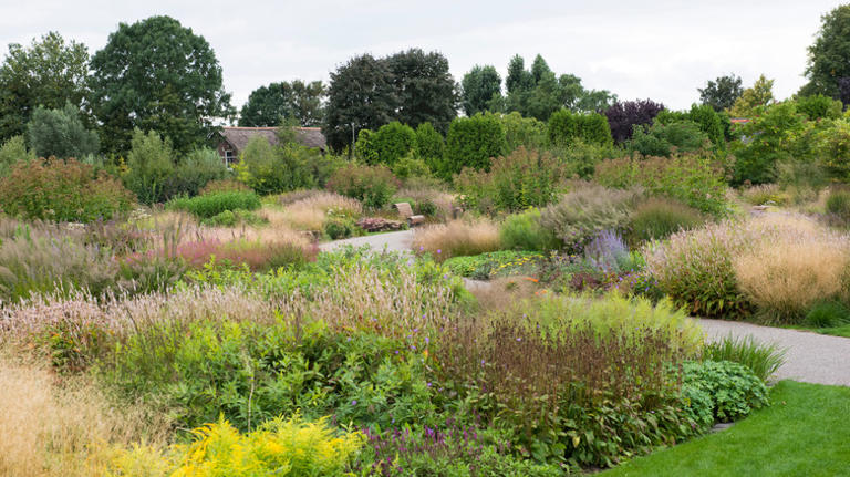 The Best Kept Secret Gardening Rule You Probably Haven't Heard Of