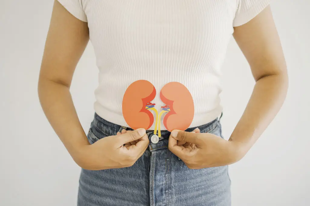 6 Lesser-Known Nutrients Your Kidneys Need to Stay Healthy