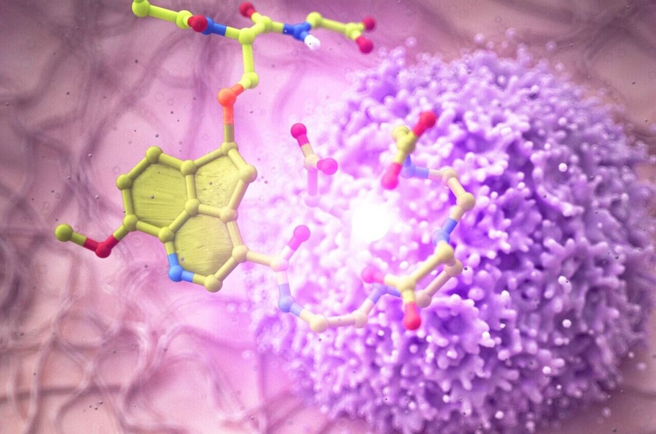 'Molecular beacon' can measure immune cell activity in real time