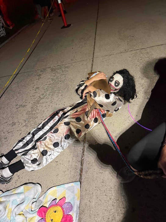 New Lenox Family's Haunted Trail Draws Nearly 2,000 For Scares, Raises ...