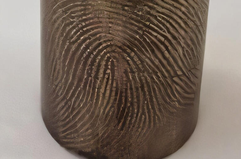 Forensic test recovers fingerprints from fired ammunition casings ...