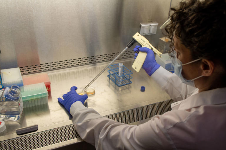 Scientists created human eggs in a lab dish. But were they fit for ...