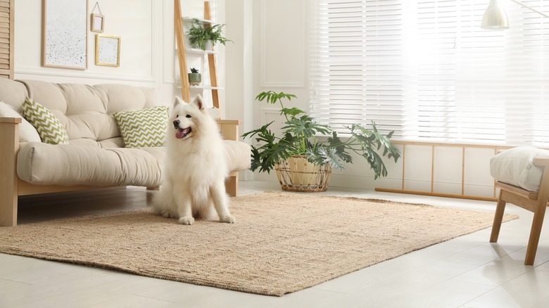 Why Natural Fiber Flooring Is Perfect For Your Home