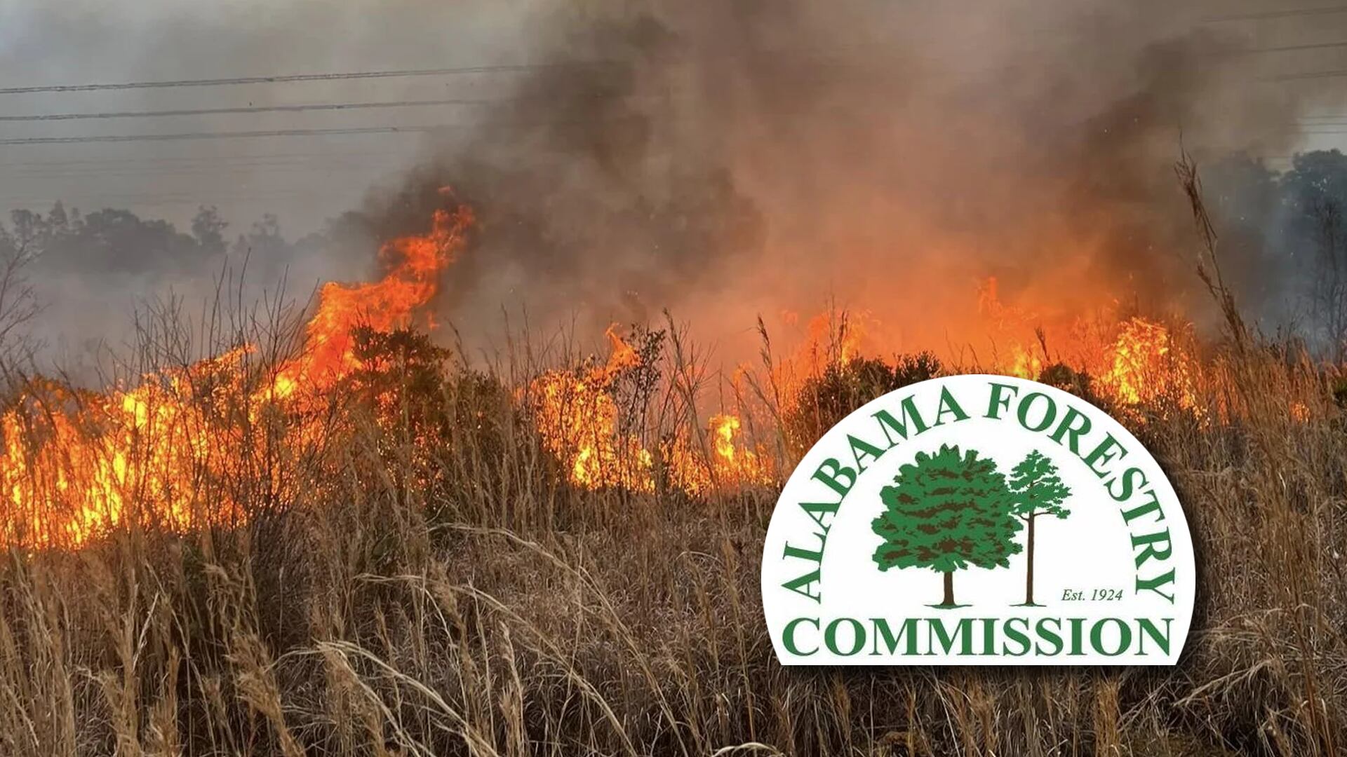Alabama Forestry Commission issues statewide Fire Danger Advisory