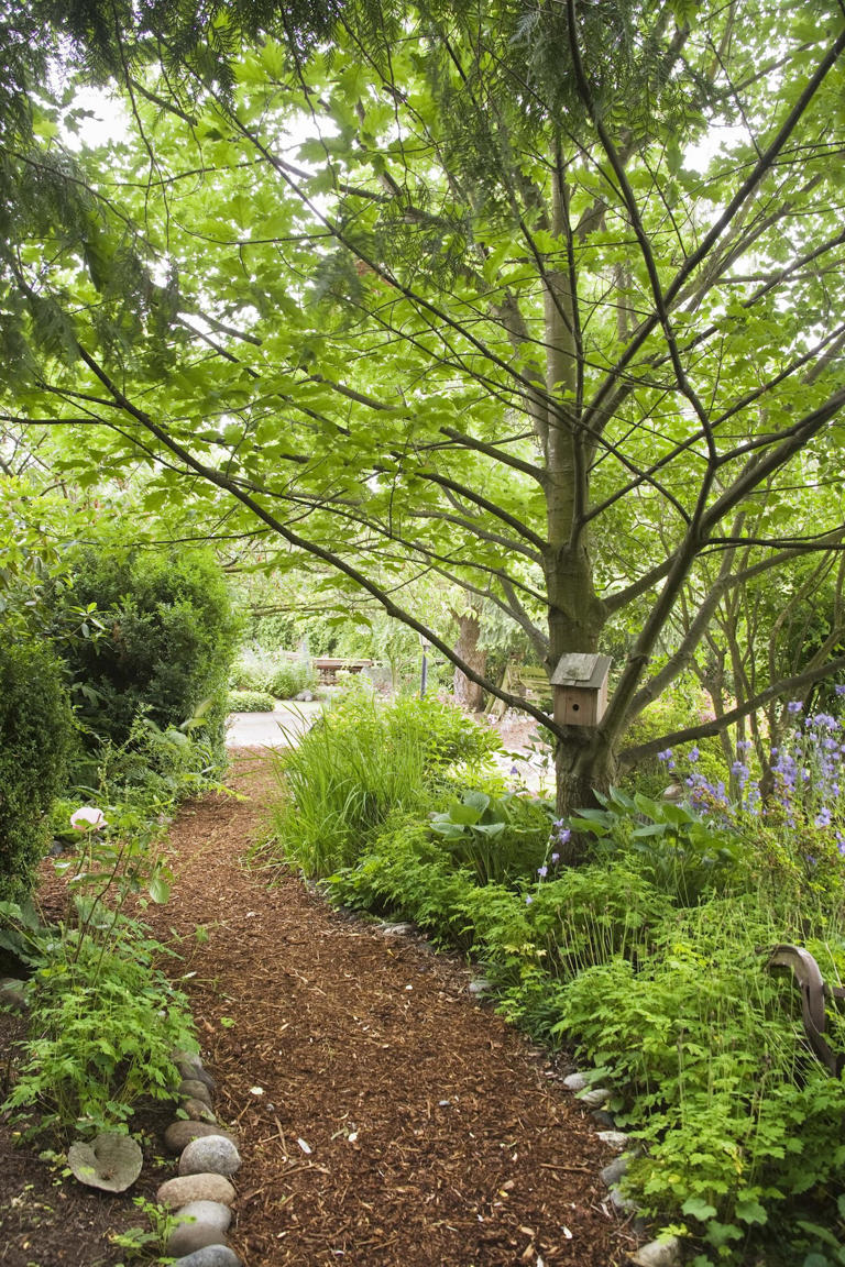 8 Cheap DIY Garden Path Ideas You’ll Want to Copy