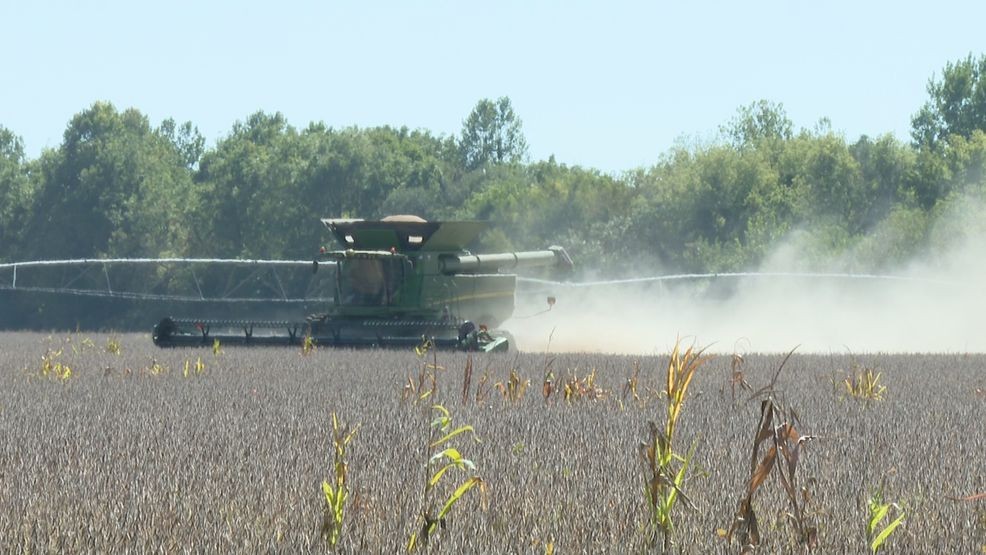 Harvest dust kicks up potential for "farmer's Lung" after extended exposure