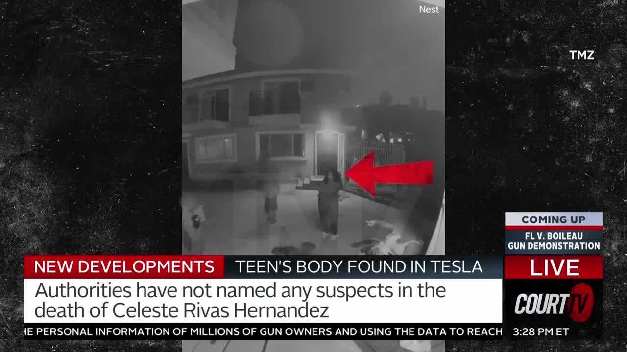 Report: Teen Whose Body Was Found in Singer dv4d’s Tesla Wasn’t Pregnant