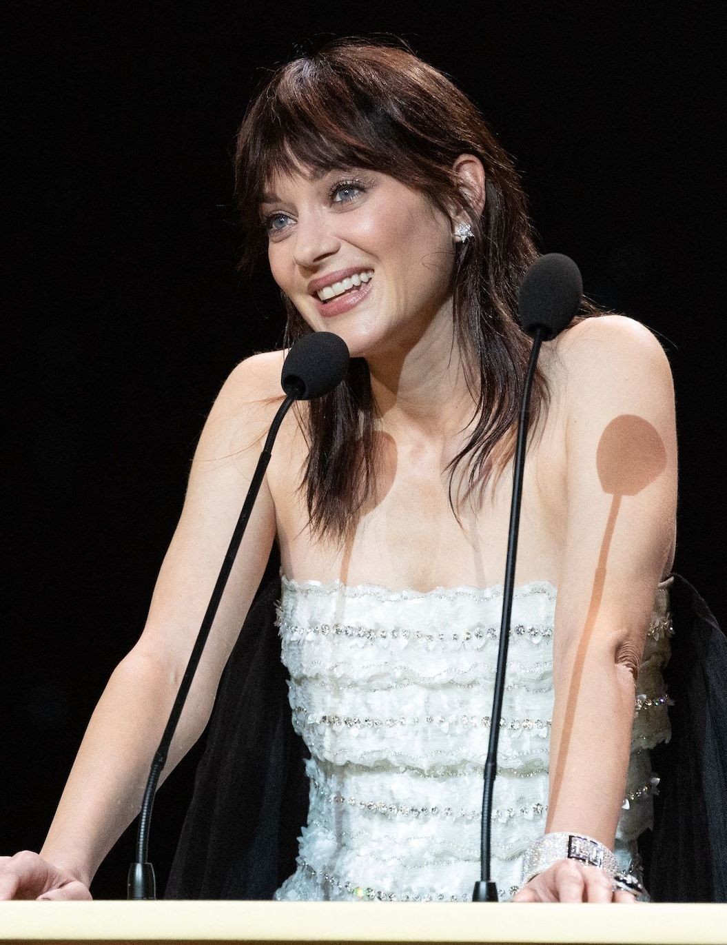 Marion Cotillard : ses meilleurs rôles au cinéma