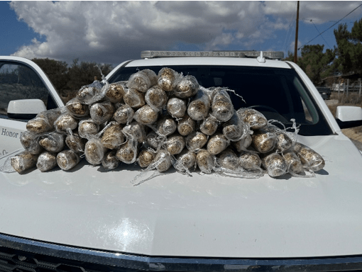 Border Patrol seizes over 50 pounds of meth hidden in UTV spare tire