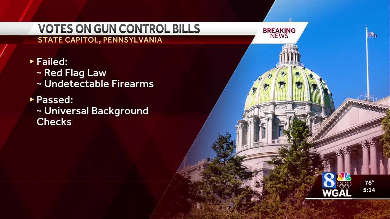 Several gun control bills failed in state house, but bill on universal ...