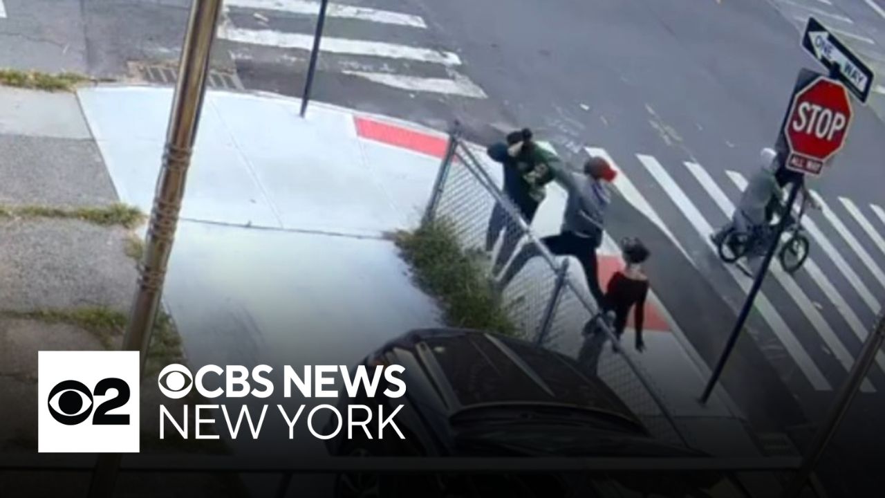 Arrest made in violent attack on 11-year-old and her dog in the Bronx