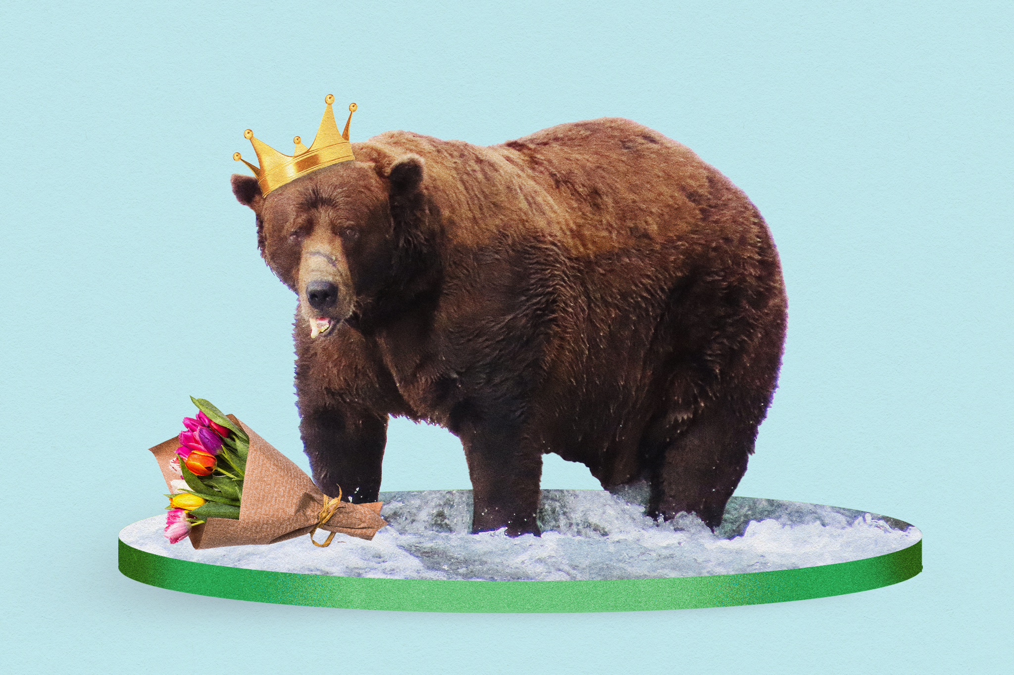 Fat Bear Week has a new champion. And he’s a total ‘Chunk.’