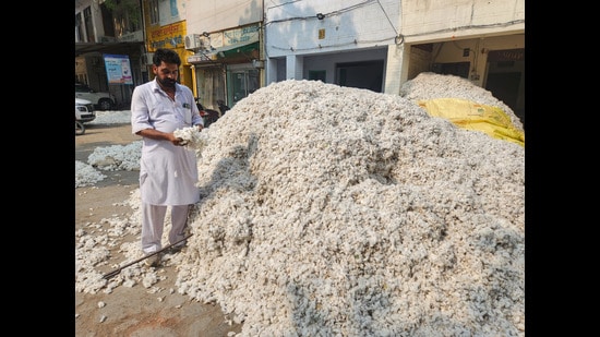 CCI to start cotton procurement at MSP from Oct 1 at 14 centres