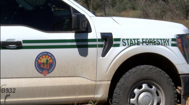 Arizona fire management crews crews begin wildfire reduction project in ...