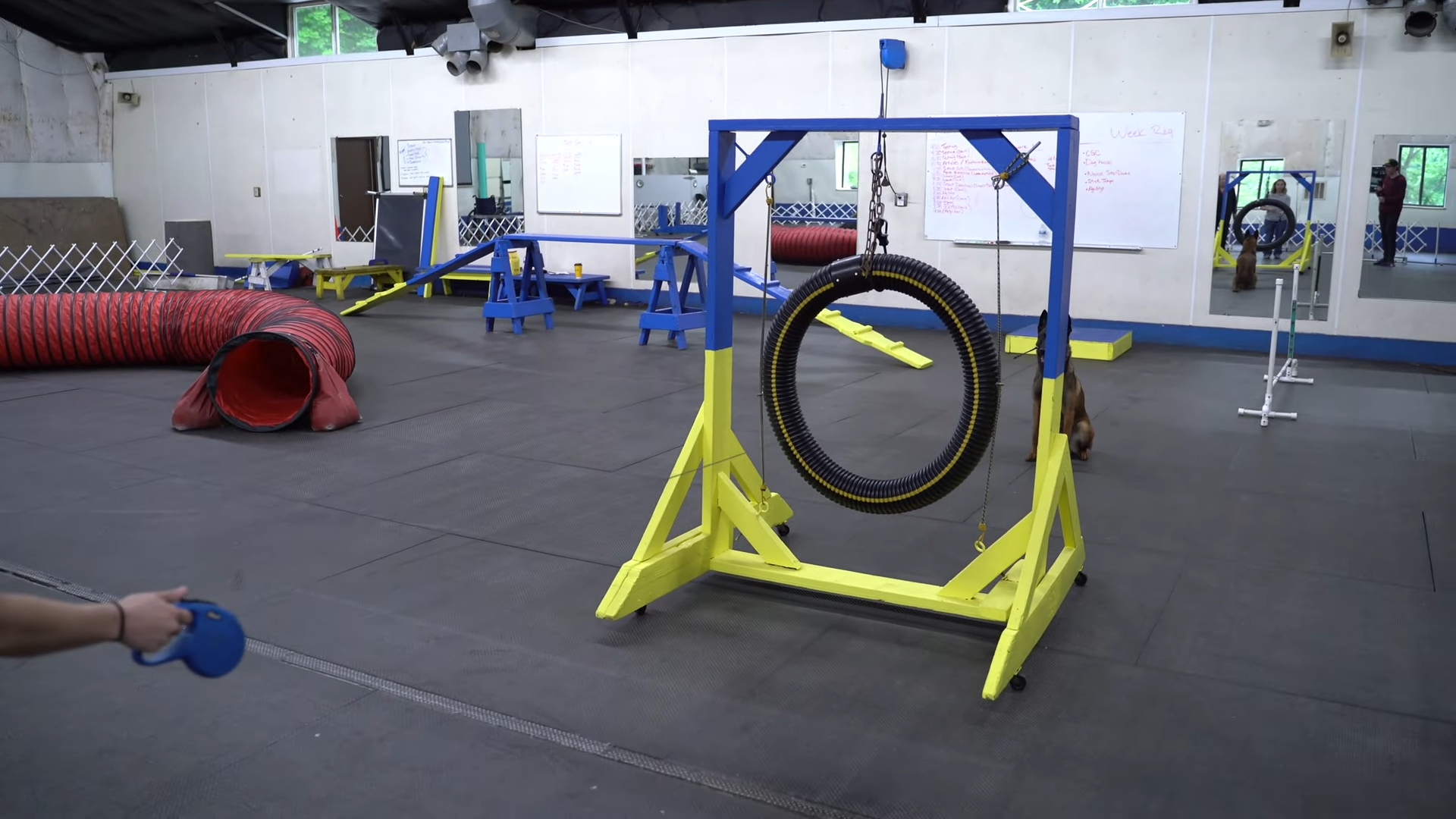 Teach Your Dog the Tire Jump