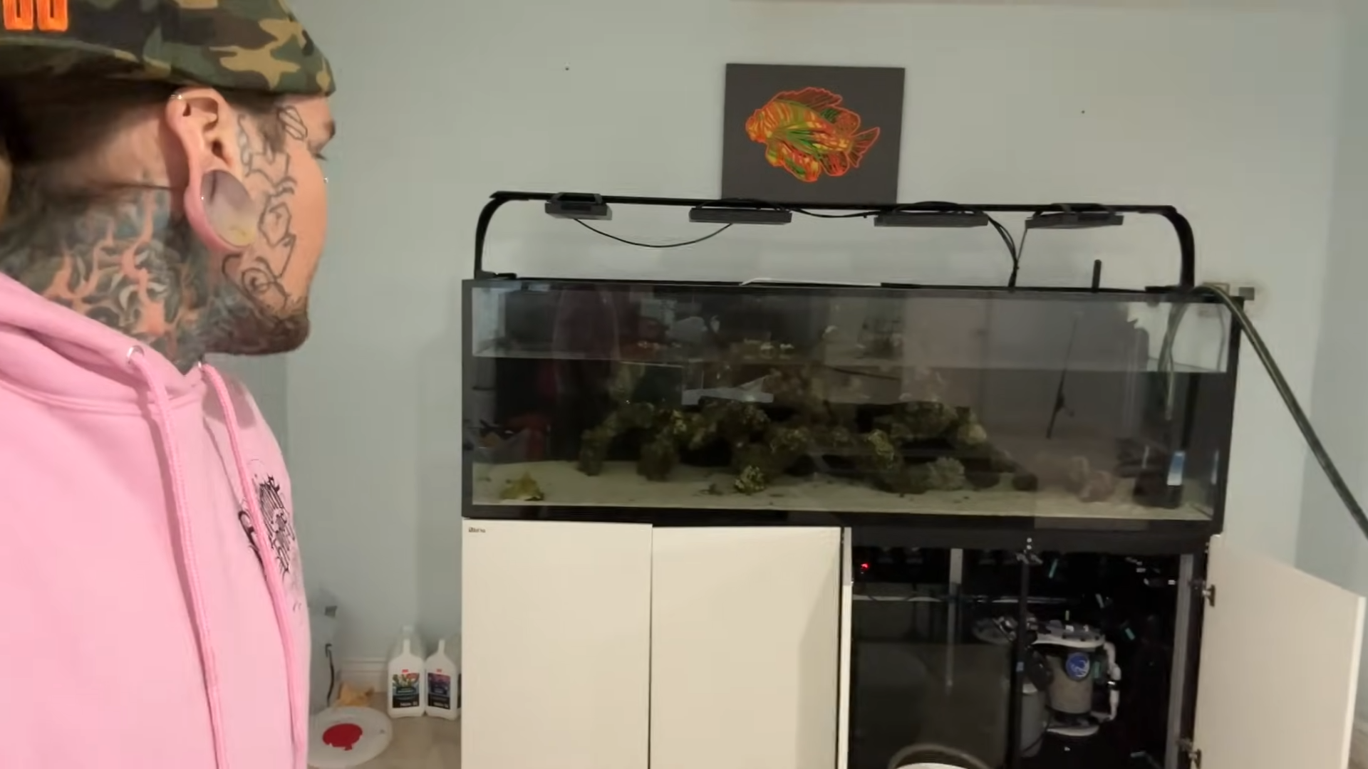 The Safest Way to Move Large Aquariums