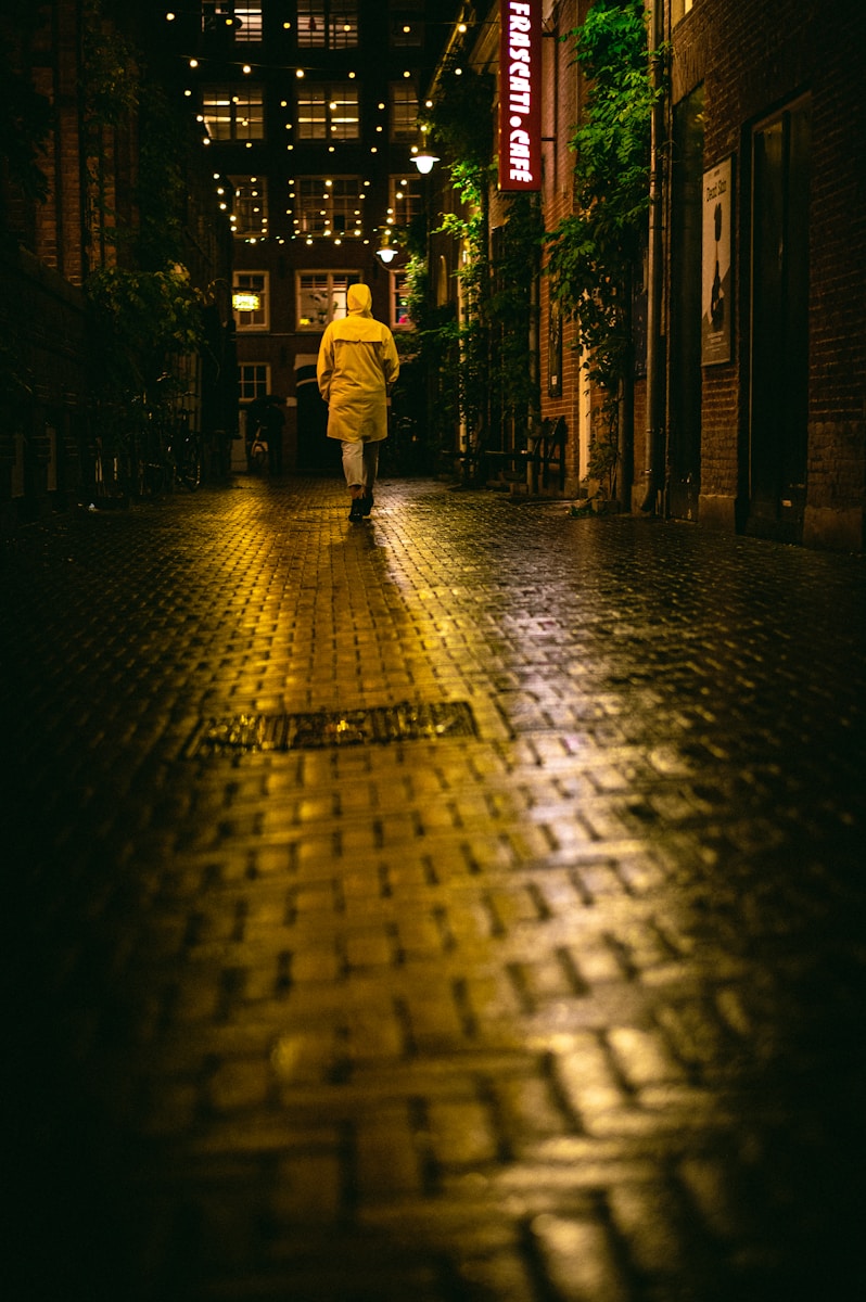 Navigating the Shadows: When a Late Night Walk Unveils a Deeper Crisis ...