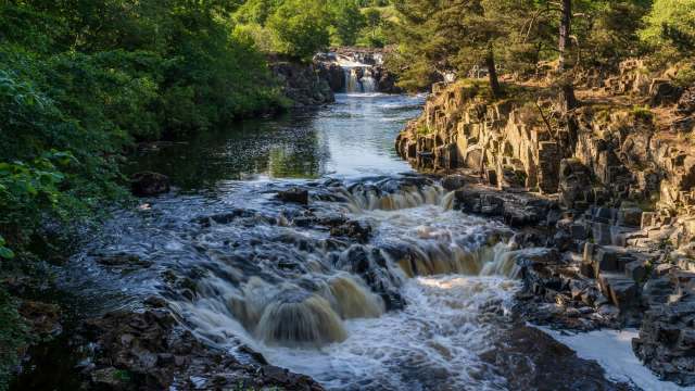 Photographer captures striking image of rare creature in unexpected ...