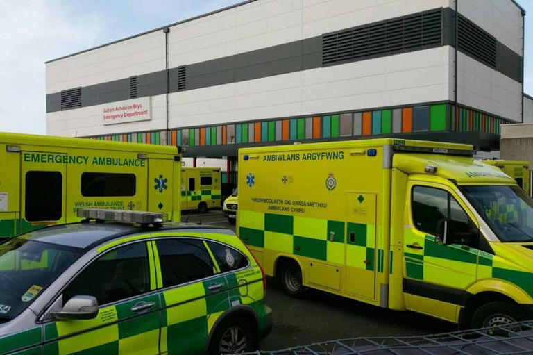 More than 900 people died in Wales last year because of long waits in A&E