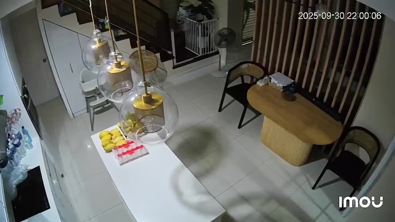 Kitchen shakes before family flees home during earthquake