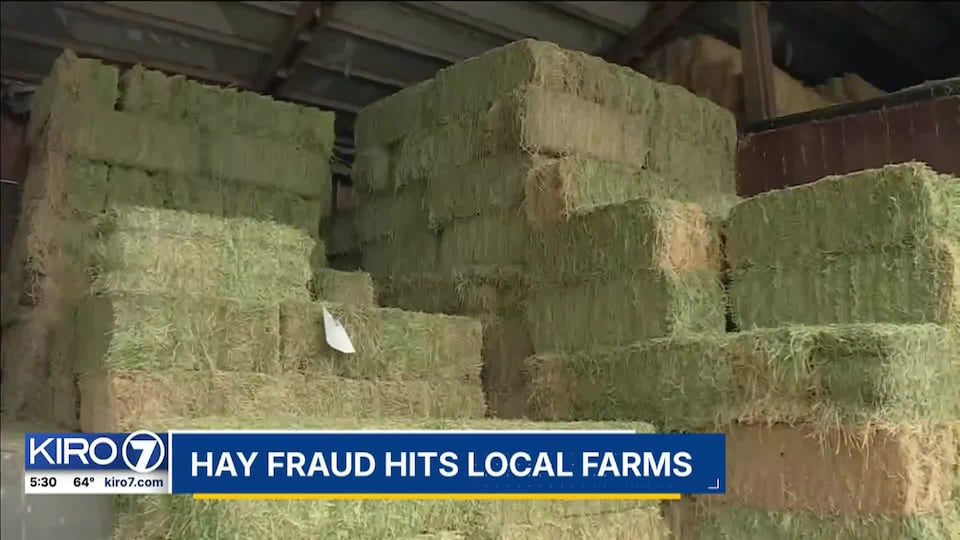 VIDEO: Hay fraud hits local farms