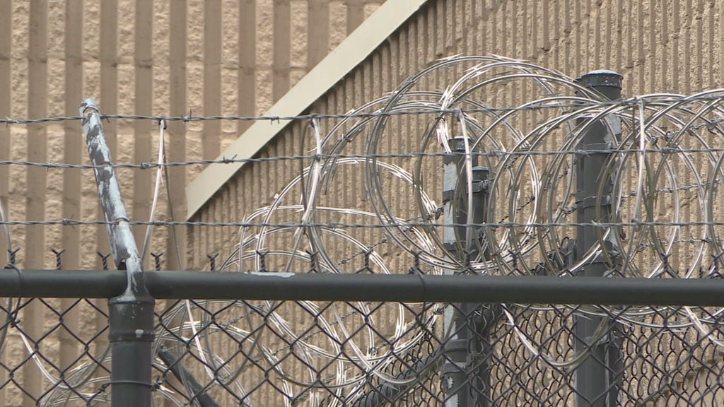 North Texas woman sentenced to 5 years for trying to drown 3-year-old girl, court documents show