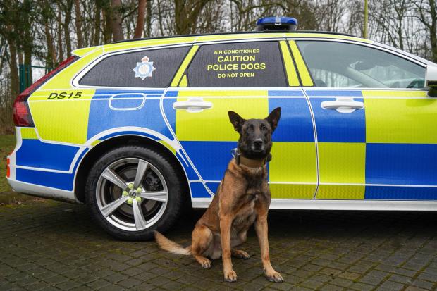 Cumbria Police wish firearms support dog a 'happy retirement'