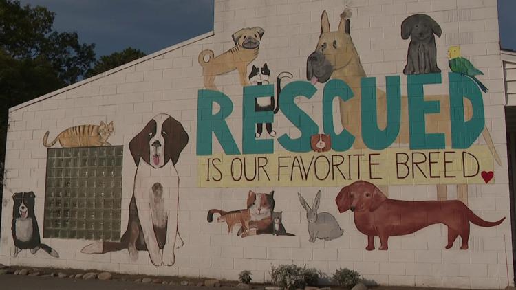 Luzerne County SPCA expands with Dundee Gardens purchase to help more ...