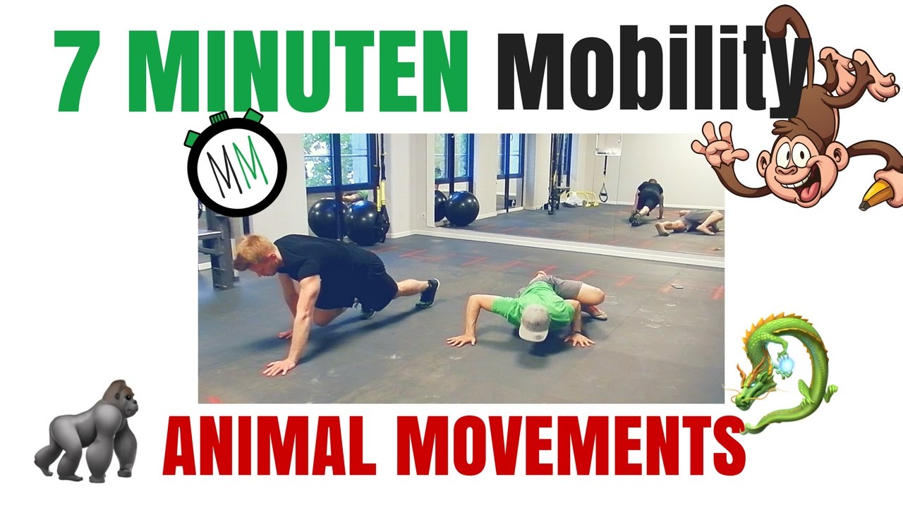 Animal Movements WARM-UP | 7 Minuten Mobility