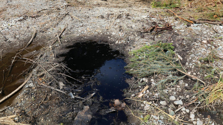 How To Recycle Used Motor Oil