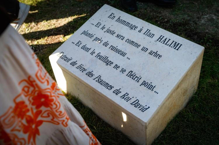 Après l’abattage de l’arbre en hommage à Ilan Halimi, un olivier et une ...