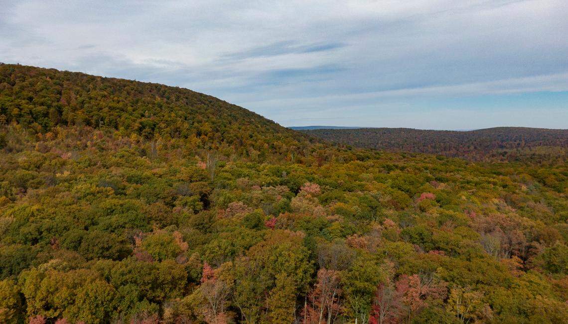 Fall colors arrived quickly in central PA. Here's when to see the best ...