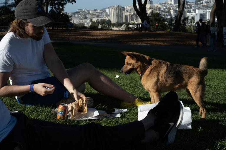 America’s Most Dog-Friendly City Has Had Enough