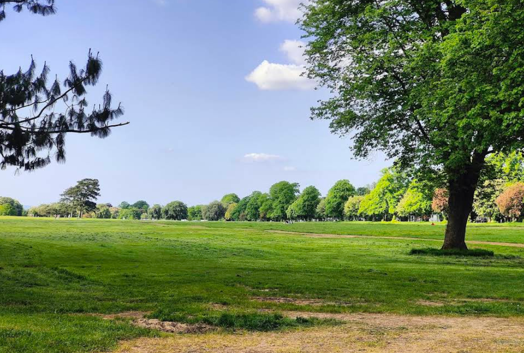Discover 10 of the best spots in Bristol to find conkers this autumn ...