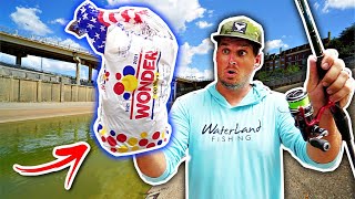 A personal best fish caught in the city using just bread