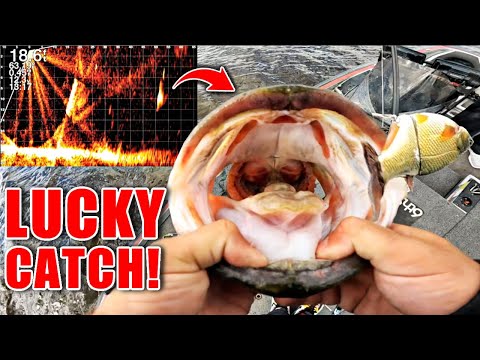 I didn't deserve to catch monster fish