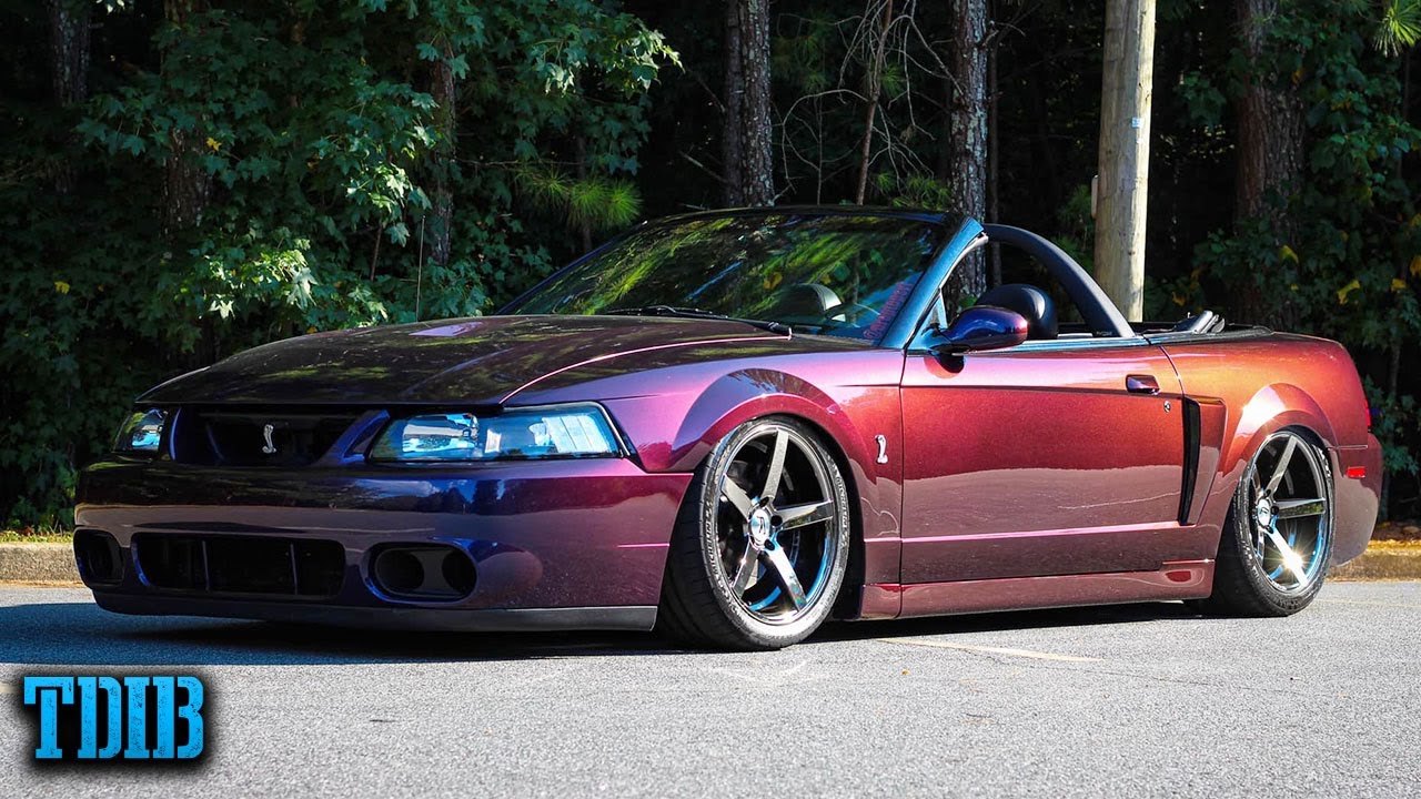Why Terminator Cobra ownership will completely change your car life