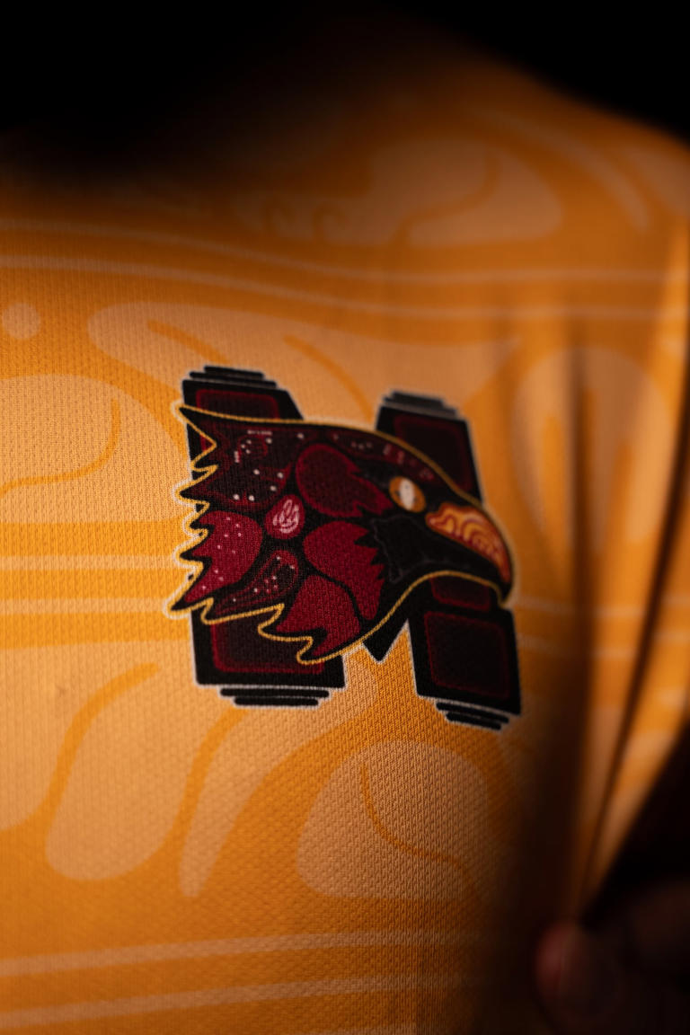 New version of McMaster Marauder logo aims to uplift Indigenous ...
